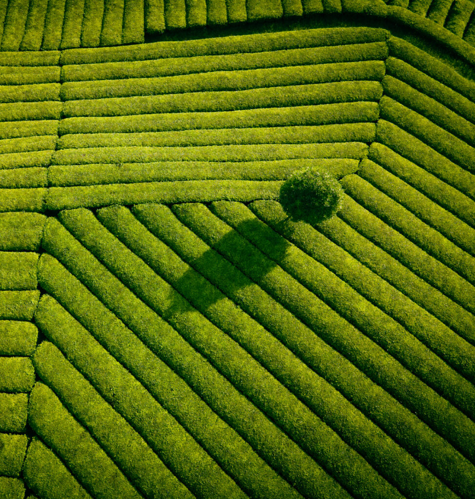 News Archive | ghSMART